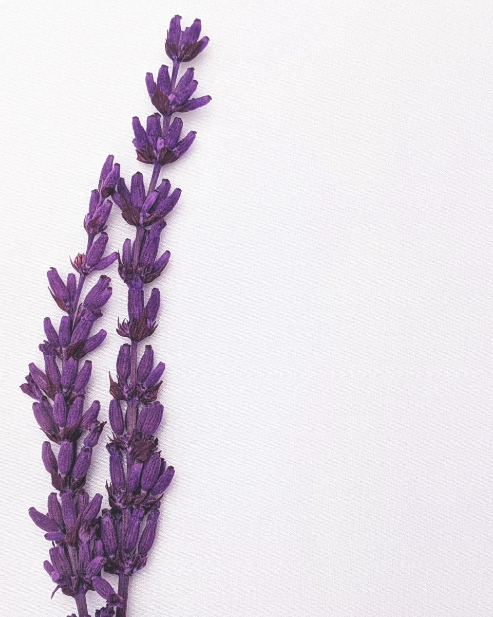 Exclusive hair care & styling products | NEWSHA